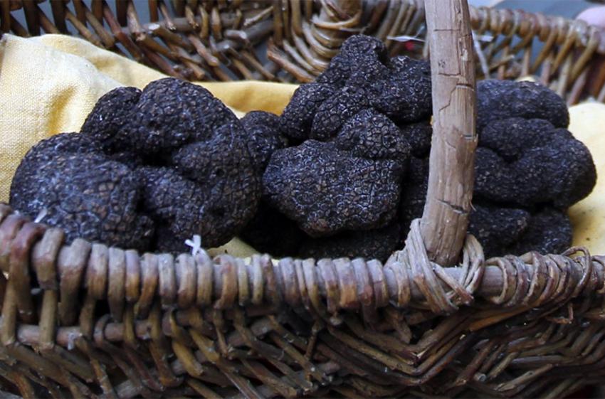 Σε έξαρση το λαθρεμπόριο μαύρης τρούφας στα σοκάκια του Π. Ψυχικού • Το ...